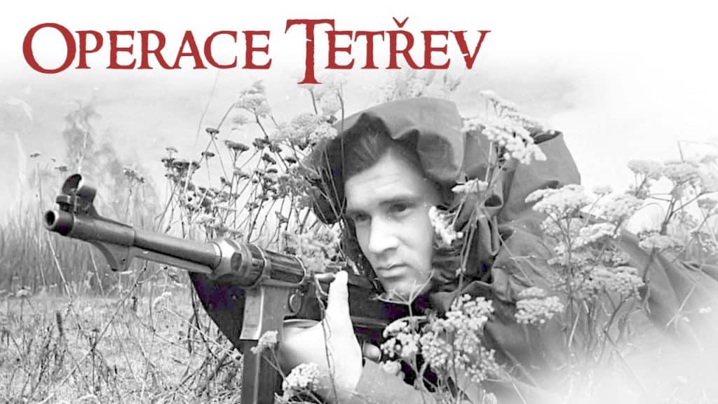 Operace Tetřev - 25. přední hlídka Royal Rangers Žďársko